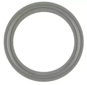 40MPG-TS-200 GARLOCK Gasket Clamp Tuf Steel